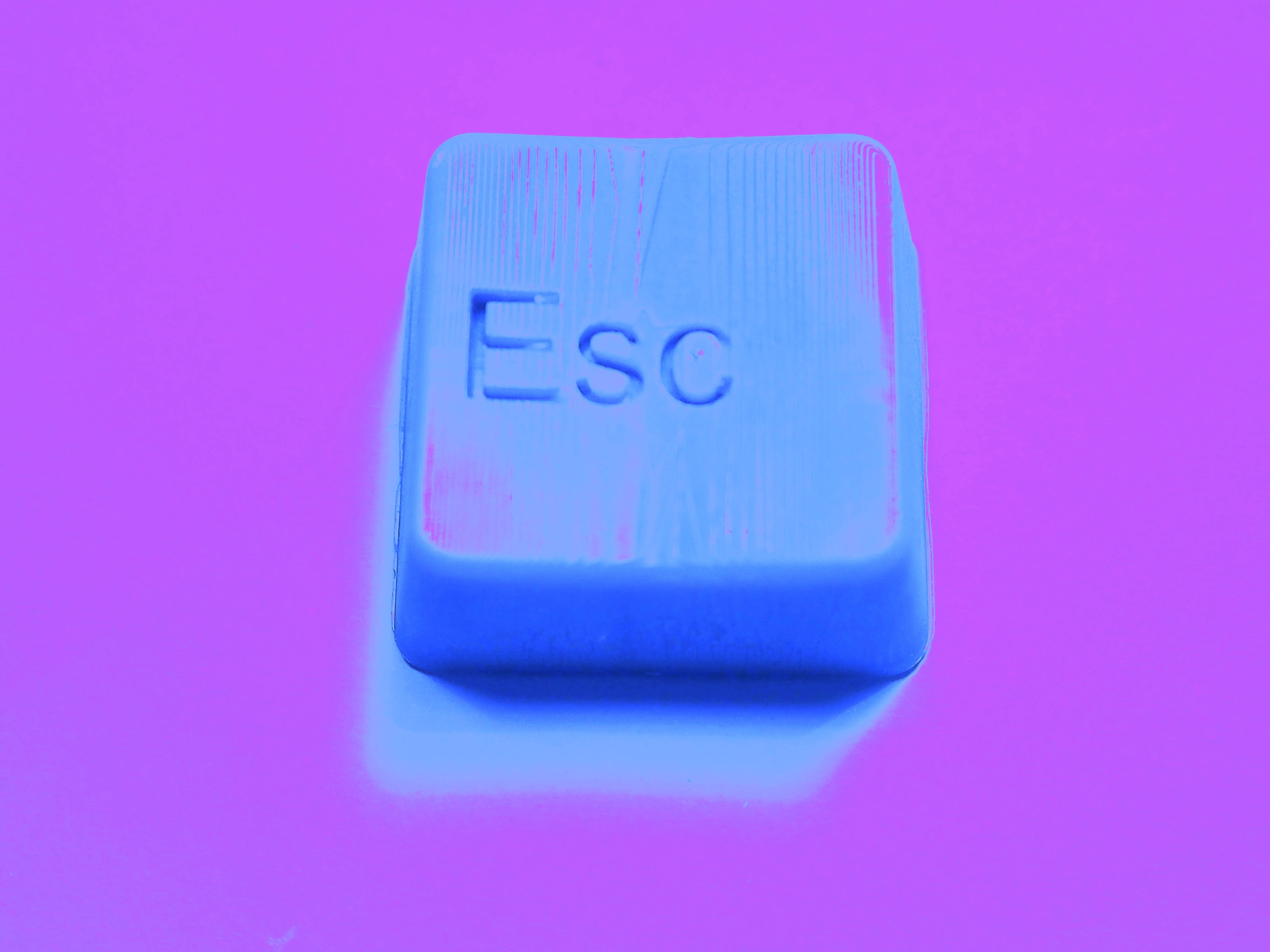 ESC Reality – B.I.A.